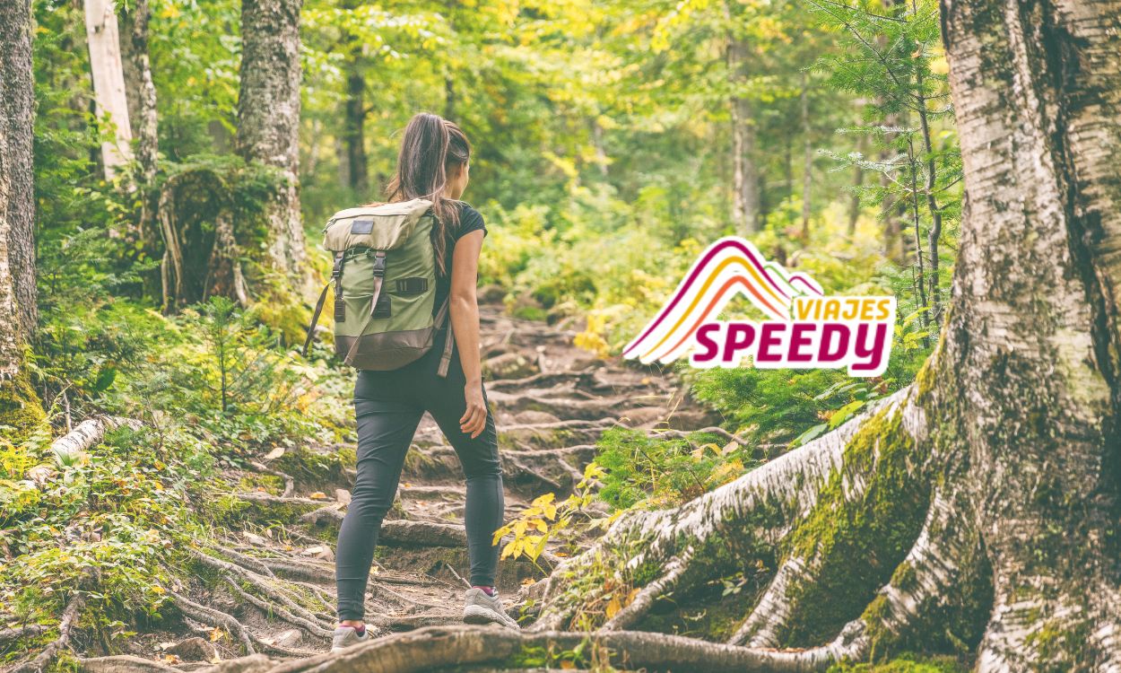 ️ Eco-Tourism Peruvian Amazon Journey with Viajes Speedy