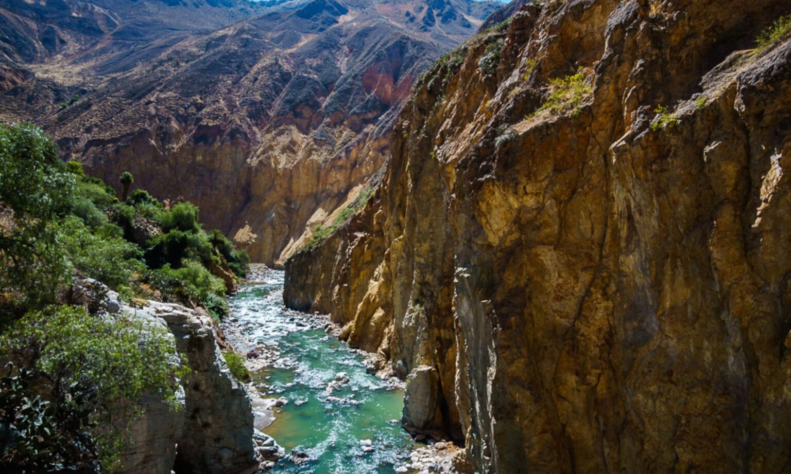 How to Visit Colca Canyon: Ultimate Travel Guide